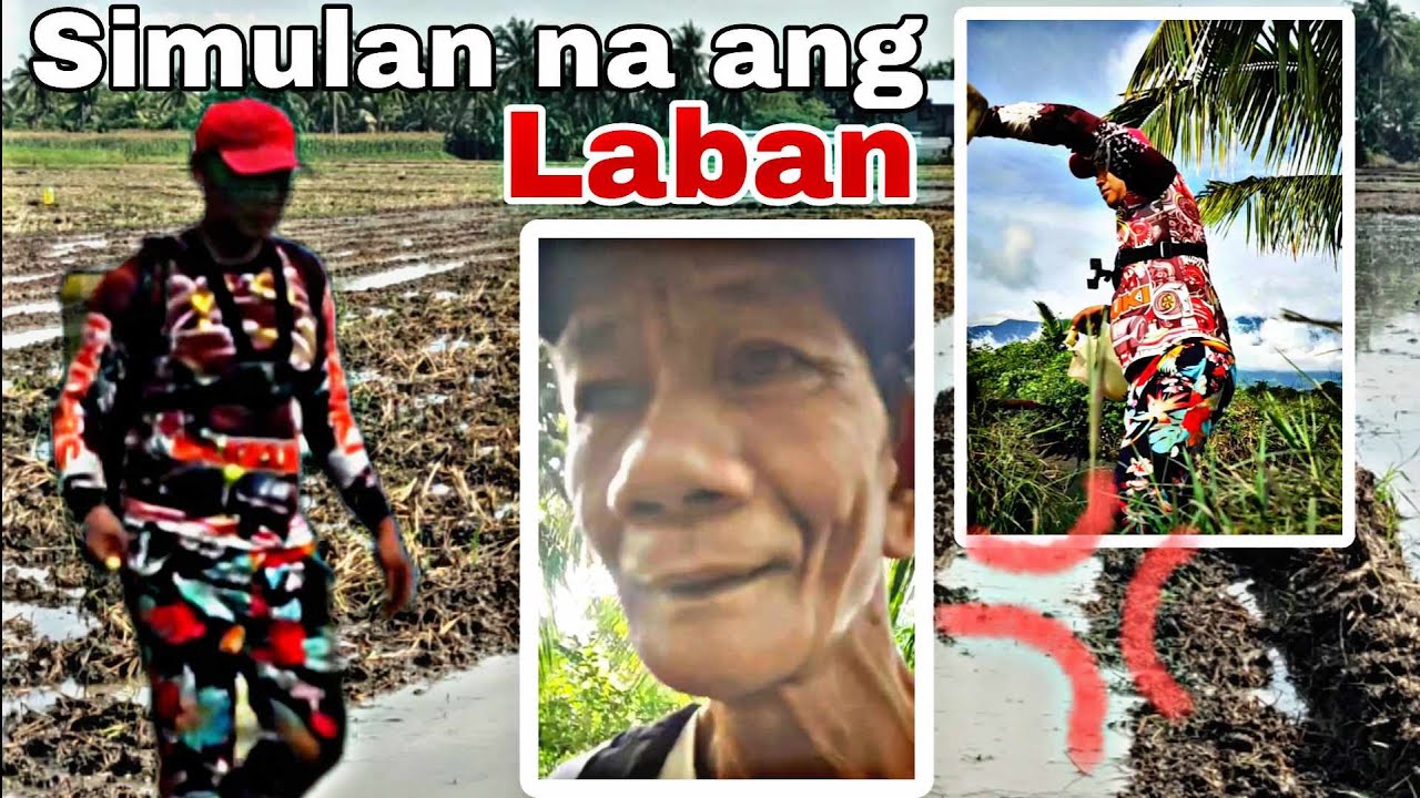 Simulan na ang laban.... #nesttvofficialvlog - YouTube
