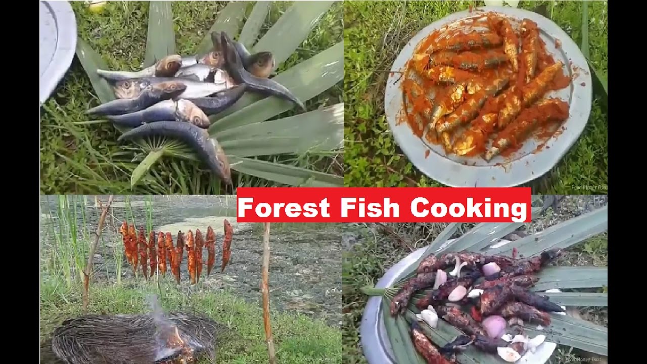 FISH Cooking IN FOREST - YouTube
