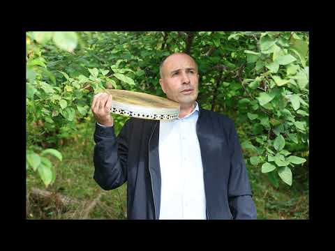 Fikrət Əsədov  -  Şirvan şikəstəsi