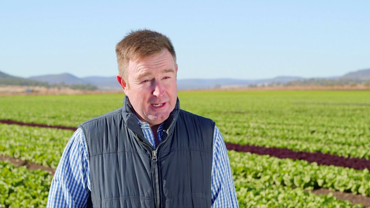 Andrew Dewar, Toowoomba QLD: Vegetable grower - YouTube