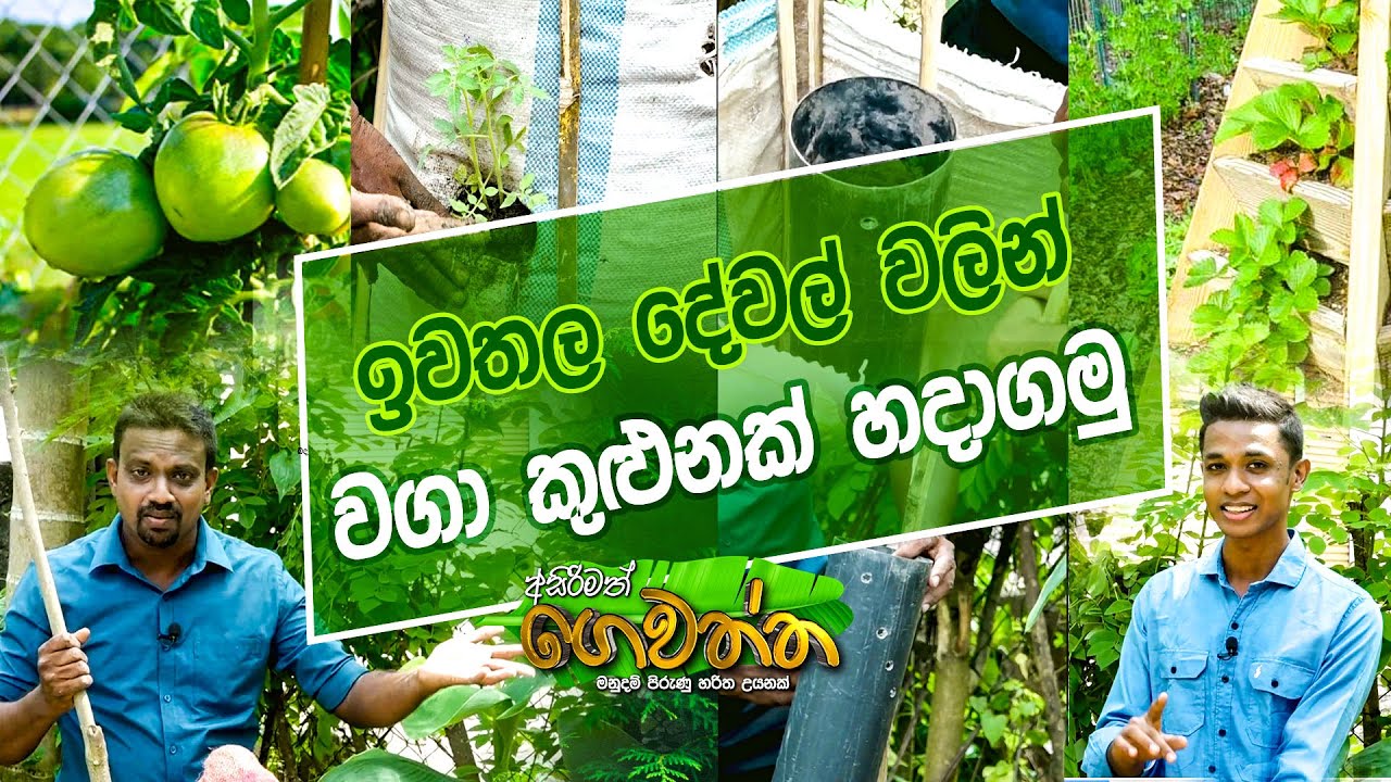 ඉවතල දේවල් වලින් ලේසියෙන්ම වගා කුළුනක් හදාගමු | Asirimath gewatta ...