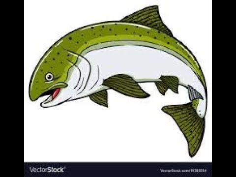 SILLY SALMON CHALLENGE! - YouTube