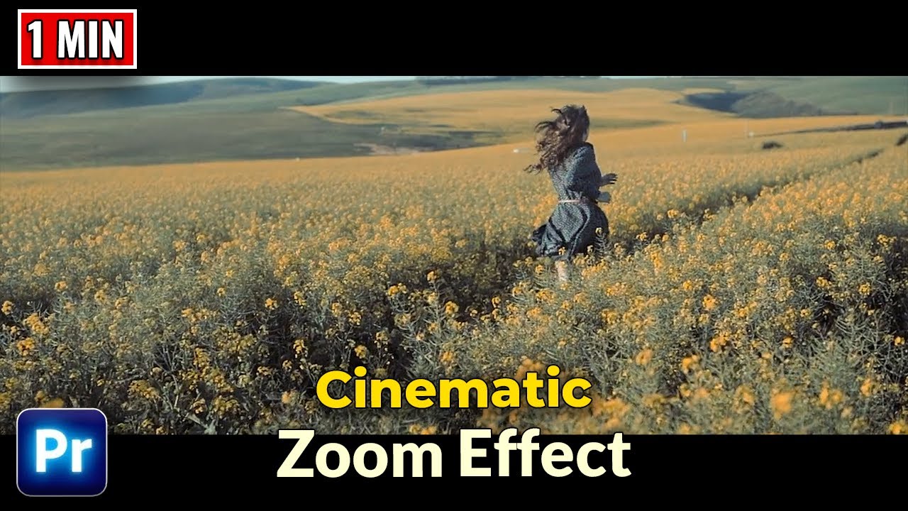 How to do Cinematic Zoom Effect in Premiere Pro in 1 Minute | Best Way ...