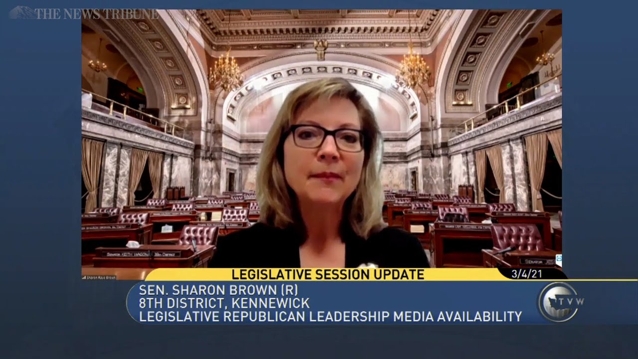 Washington state Republicans announce their own reopening plan - YouTube