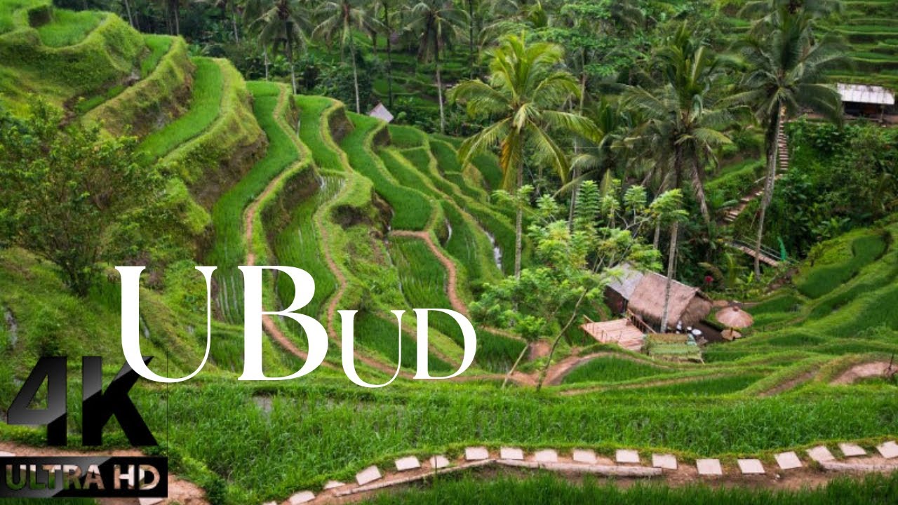 Ubud 4K - Relaxation With Inspiring Music video - YouTube