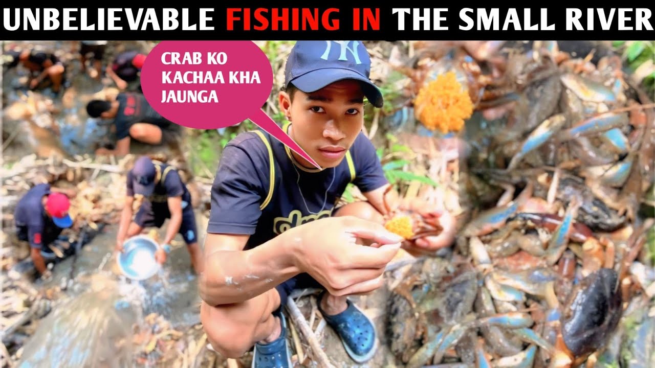 Unique Fishing In The Small River || Catching Prawns || Catching Fish ...