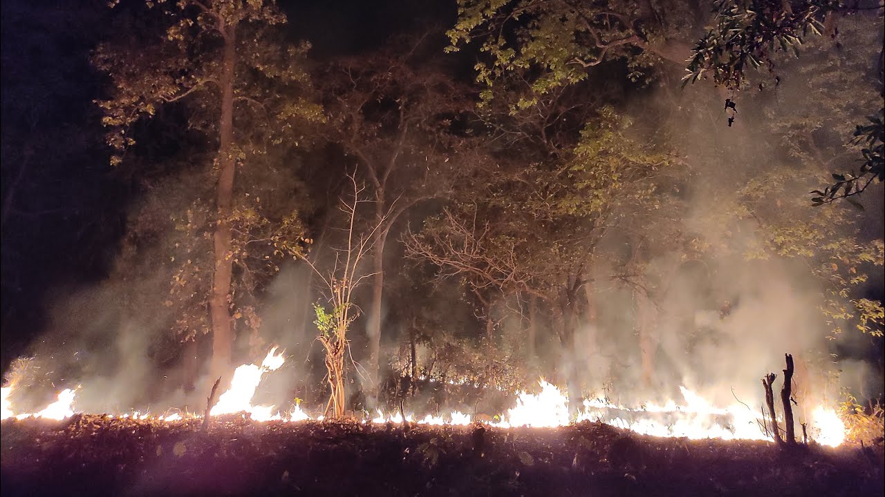 SIMILIPAL FOREST FIRE- ODISHA #AwazUthao #SaveSimilipal - YouTube