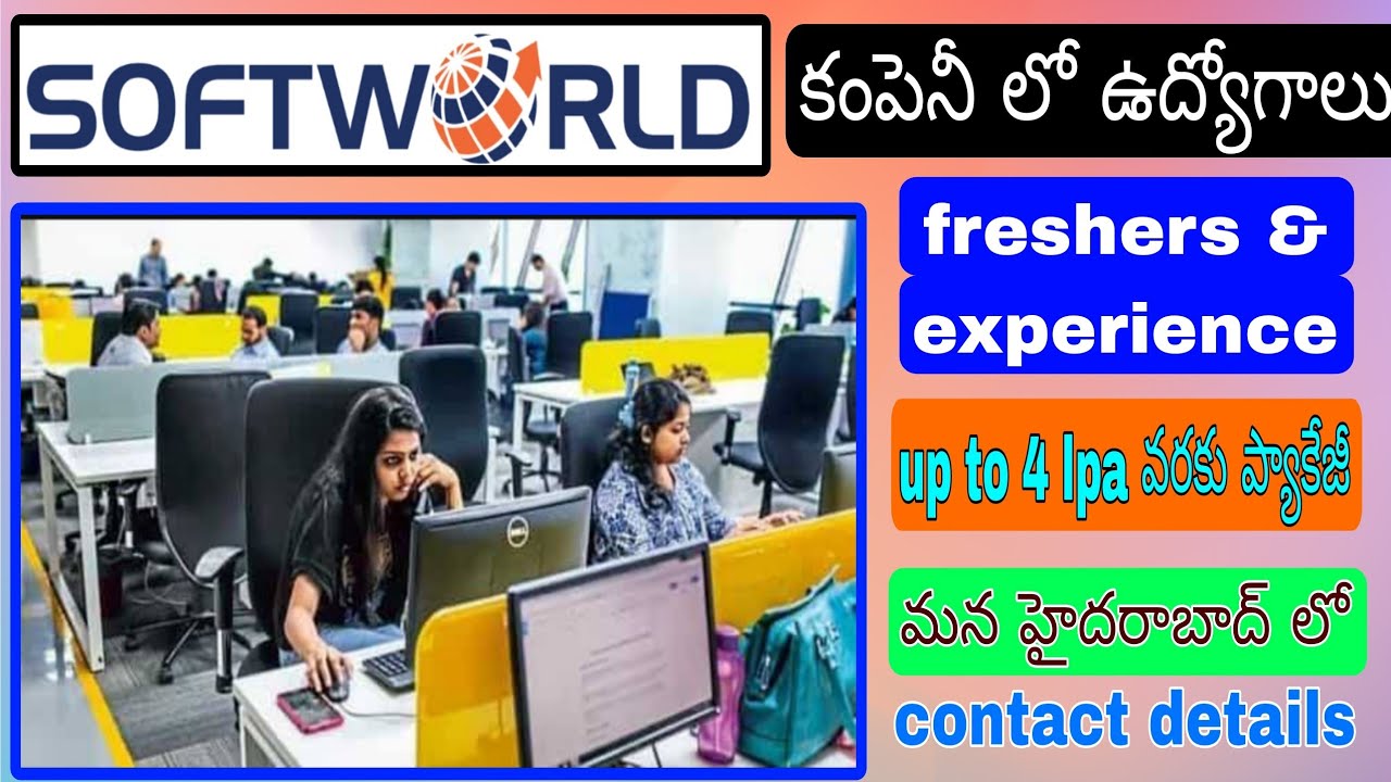 softworld technology company recruitment freshers jobs full information ...