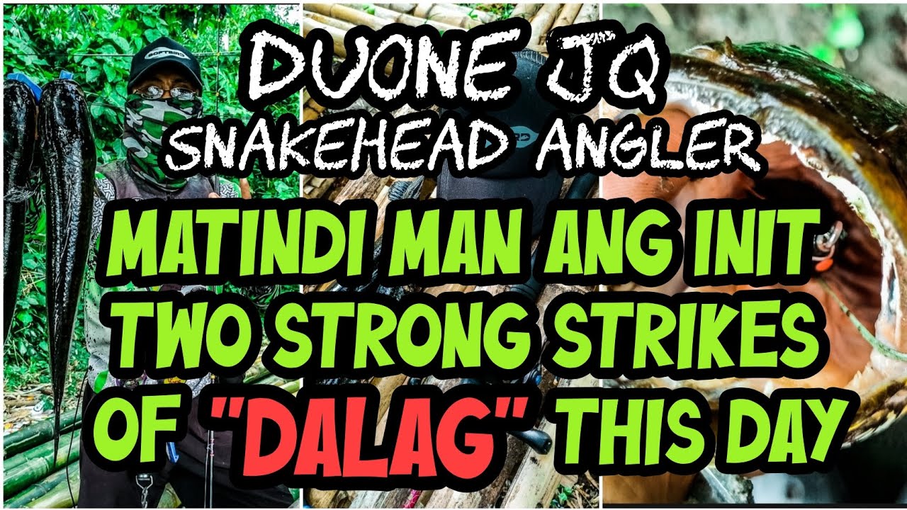 Snakehead Top Water Angling, Channa Striata, Dalag/ Haruan/ Gabus ...