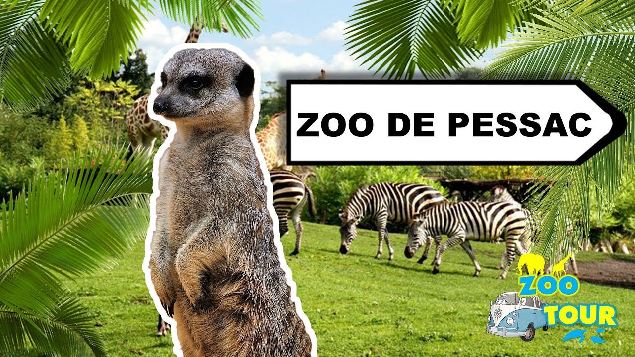 ZOOTOUR #4 Zoo Bordeaux Pessac - YouTube