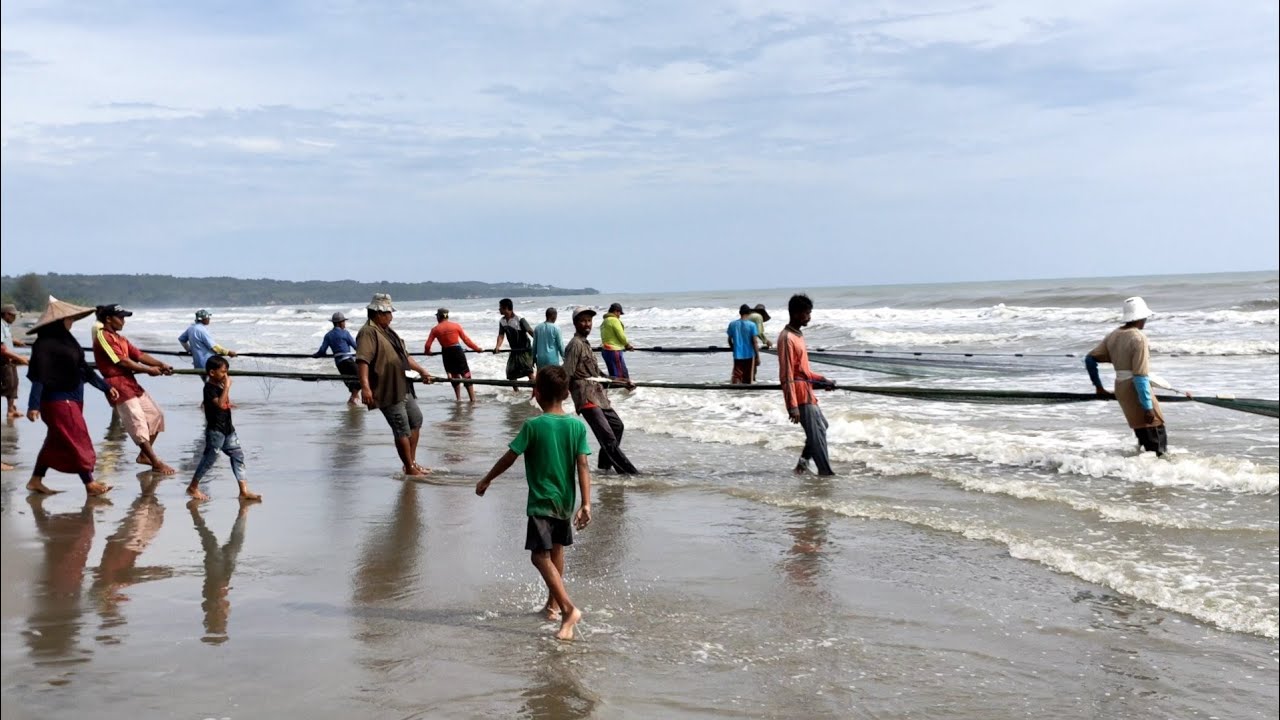 Surprisingly Indonesian Fishermen Harvest Lots of TERI Fish - YouTube