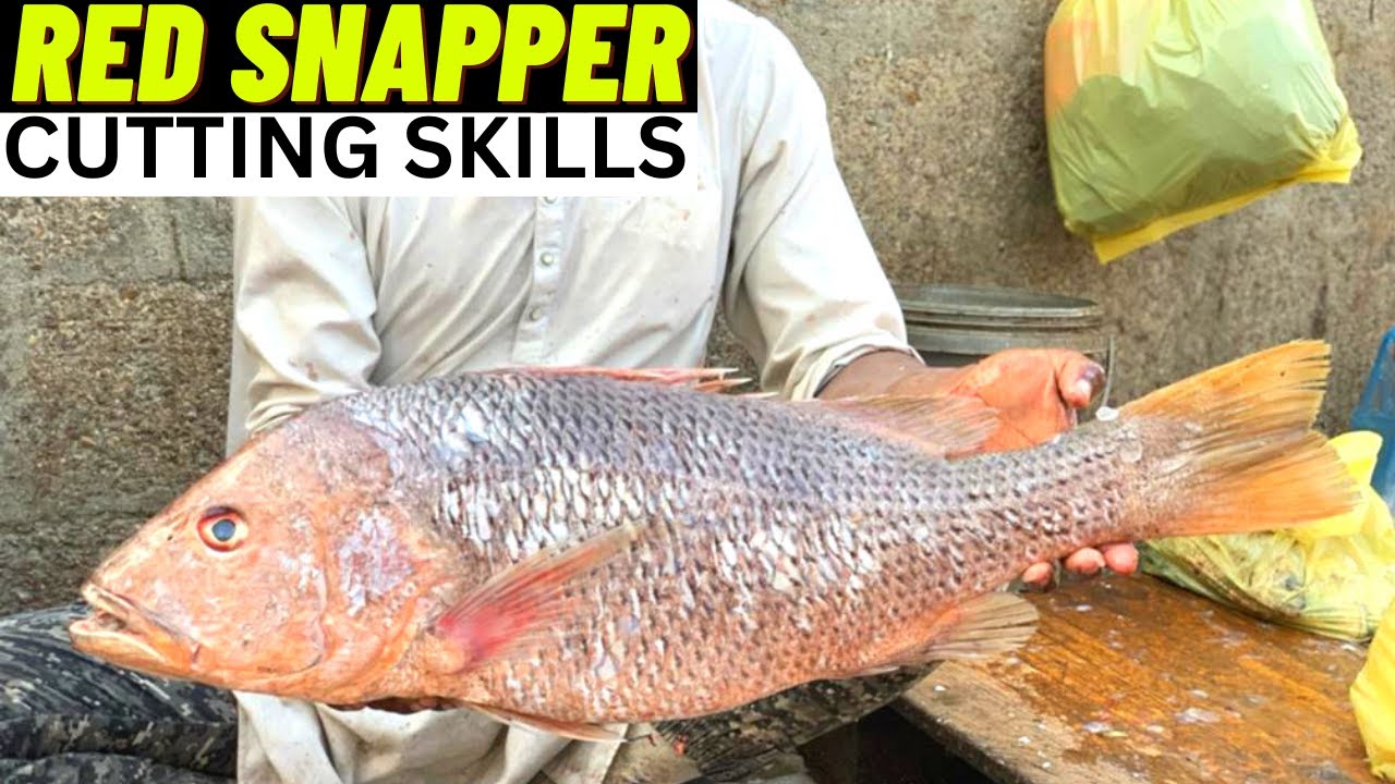 Red Snapper Fish Cutting Skills | Pakistani Style Seafood Slicers - YouTube