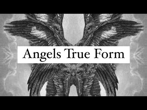 What are the true form of Angels? - YouTube