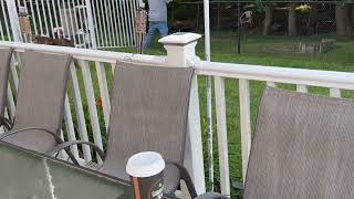 Amopatio Patio Chairs Set of 4, Outdoor Stackable Dining Chairs for All Weather Review