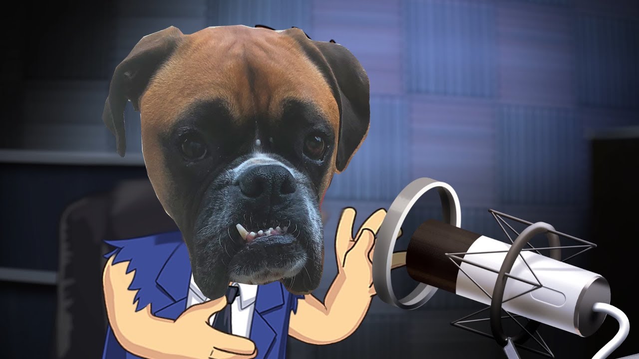 Barry's Favourite Animals - Barry Vlog #25 - YouTube