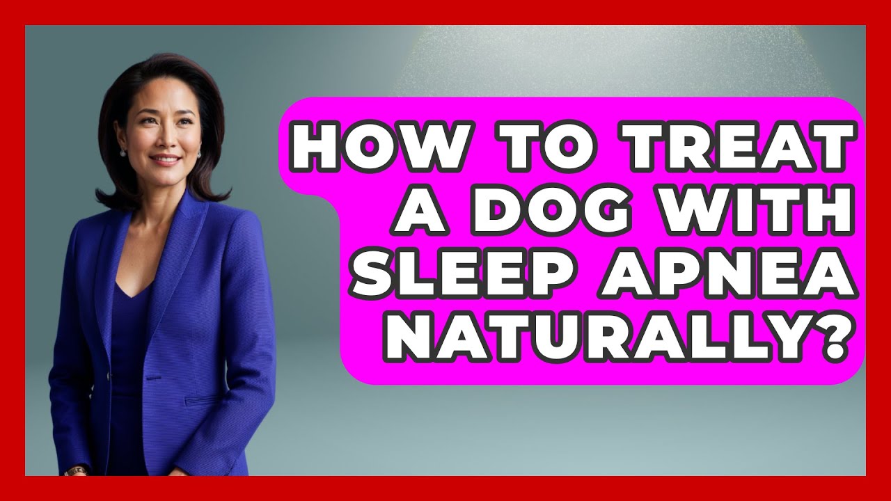 How To Treat A Dog With Sleep Apnea Naturally? - Sleep Wellness ...