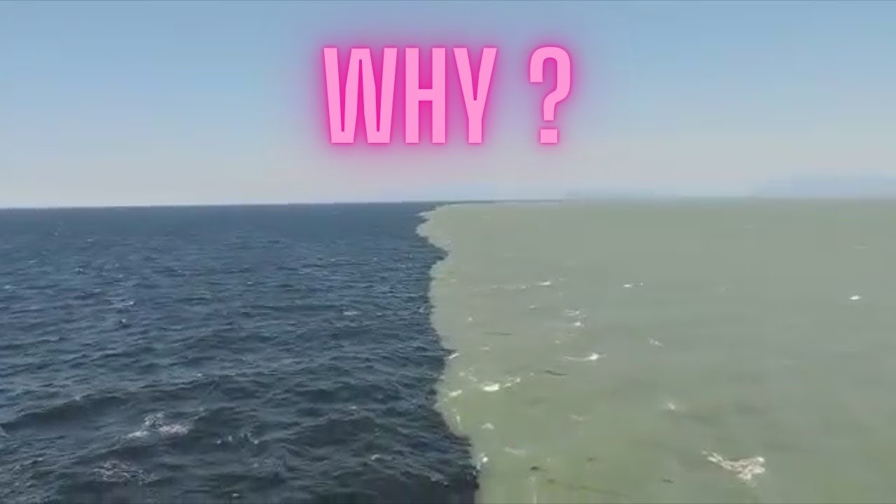 A place where two oceans meet but do not mix | The Gulf of Alaska ...