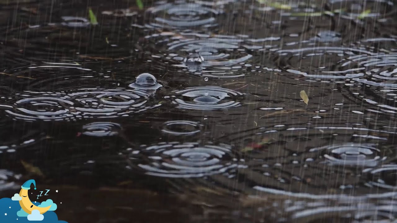 Raindrop sounds for sleeping, Rain falling on water - YouTube