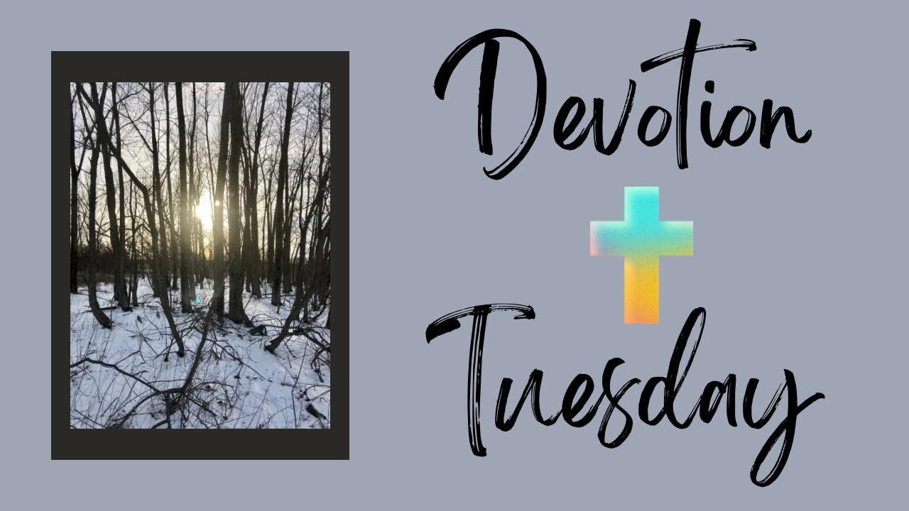Devotion Tuesday....A Refreshing Oasis - YouTube