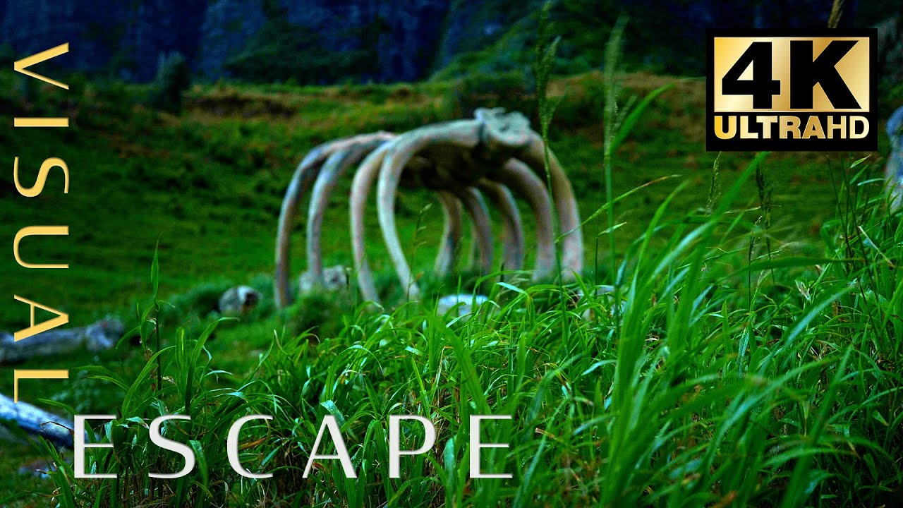 Peaceful Wind Blowing Through Tall Grass In Elephant Graveyard | 4K ...