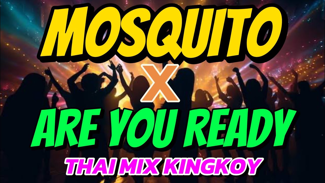 MOSQUITO X ARE YOU READY - THAI MIX KINGKOY STYLE | BEST DISCO DANCE ...