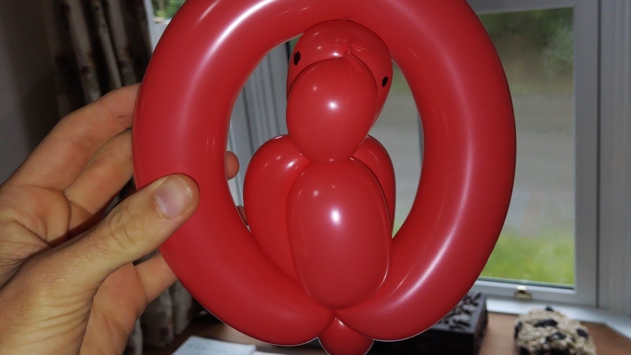 How to make a Parot balloon model - YouTube