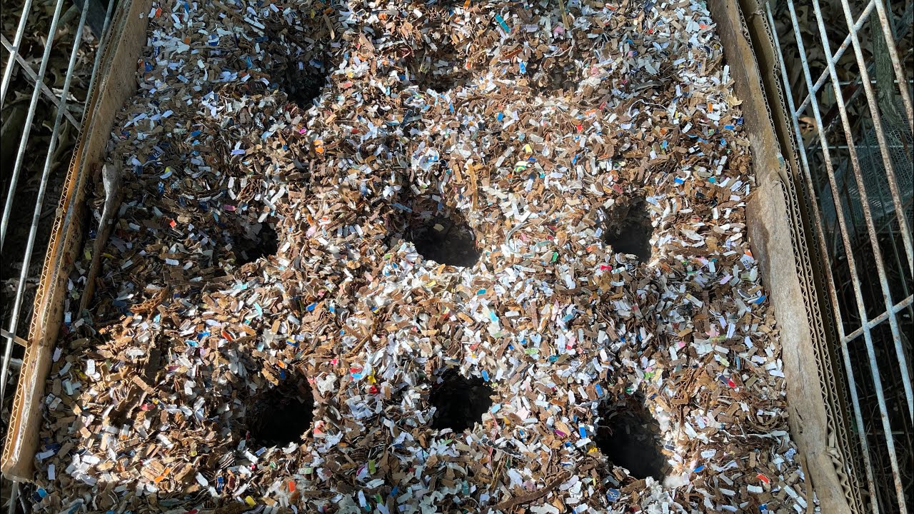 My composting setup👍 - YouTube