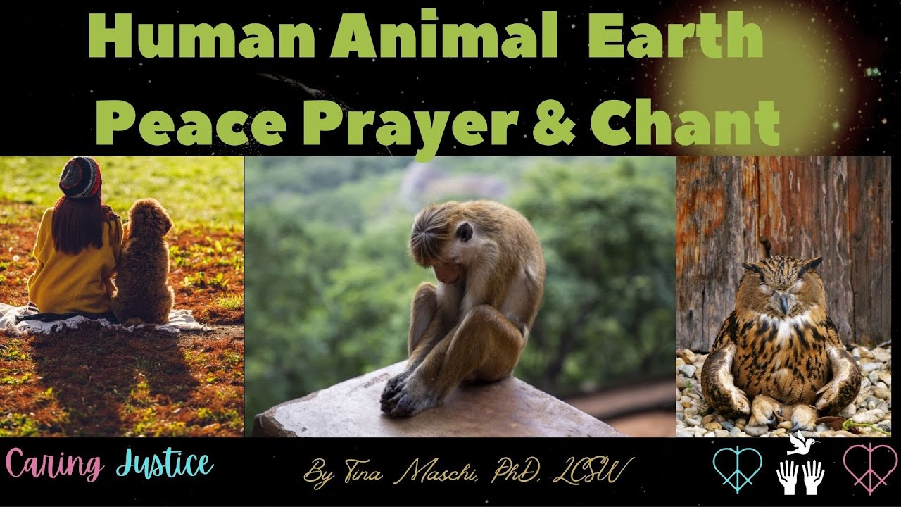 Human Animal Earth-Peace Prayer & Chant (for personal, group ...