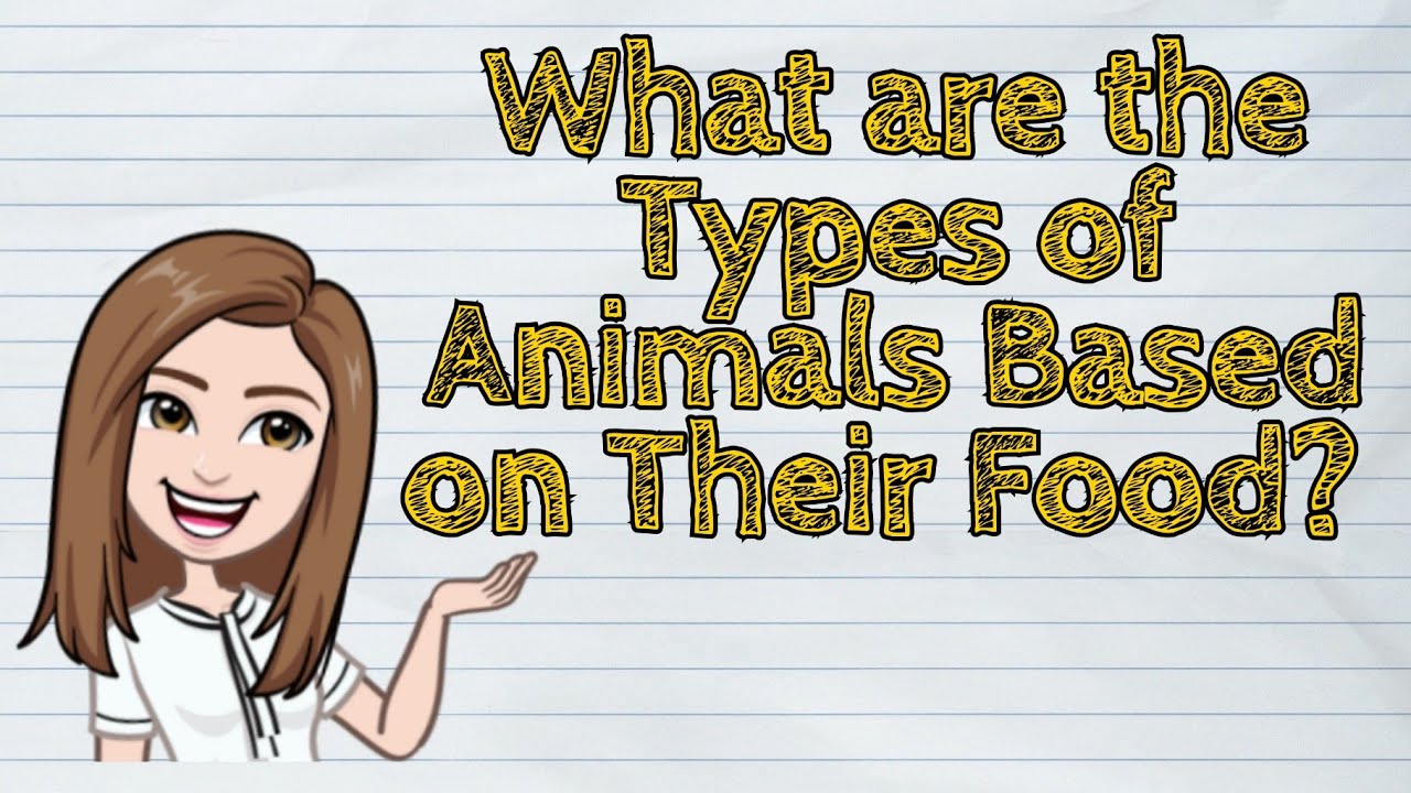 (SCIENCE) What are the Types of Animals Based on Their Food? | # ...