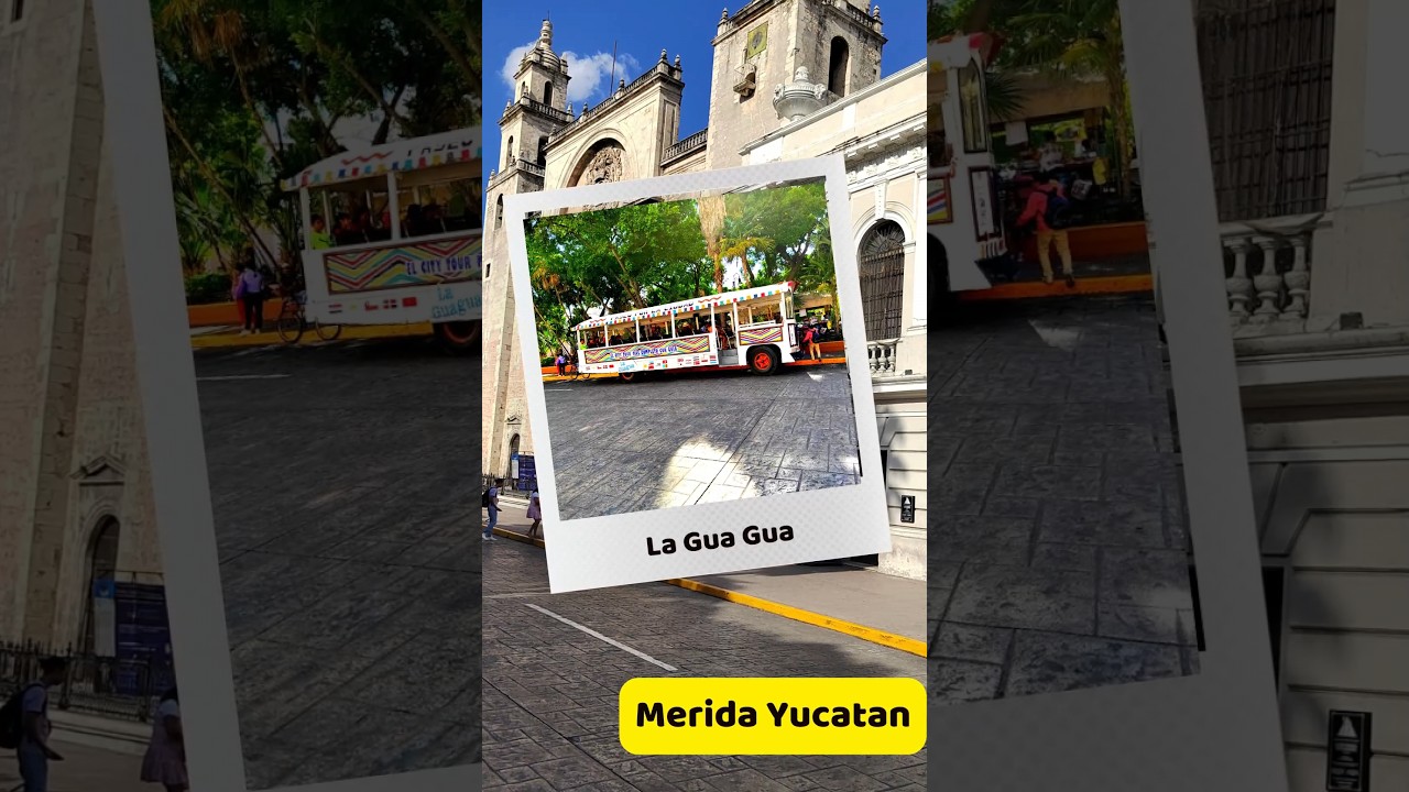 Paseo en la Gua Gua Mérida Yucatán #merida #yucatan #yucatanpeninsula # ...