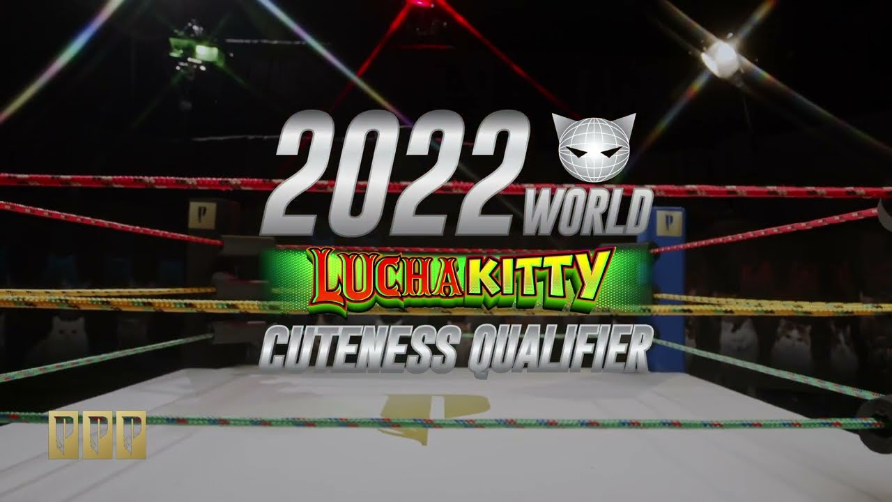 Pechanga Resort Casino - 2022 Lucha Kitty World Cuteness Qualifier ...