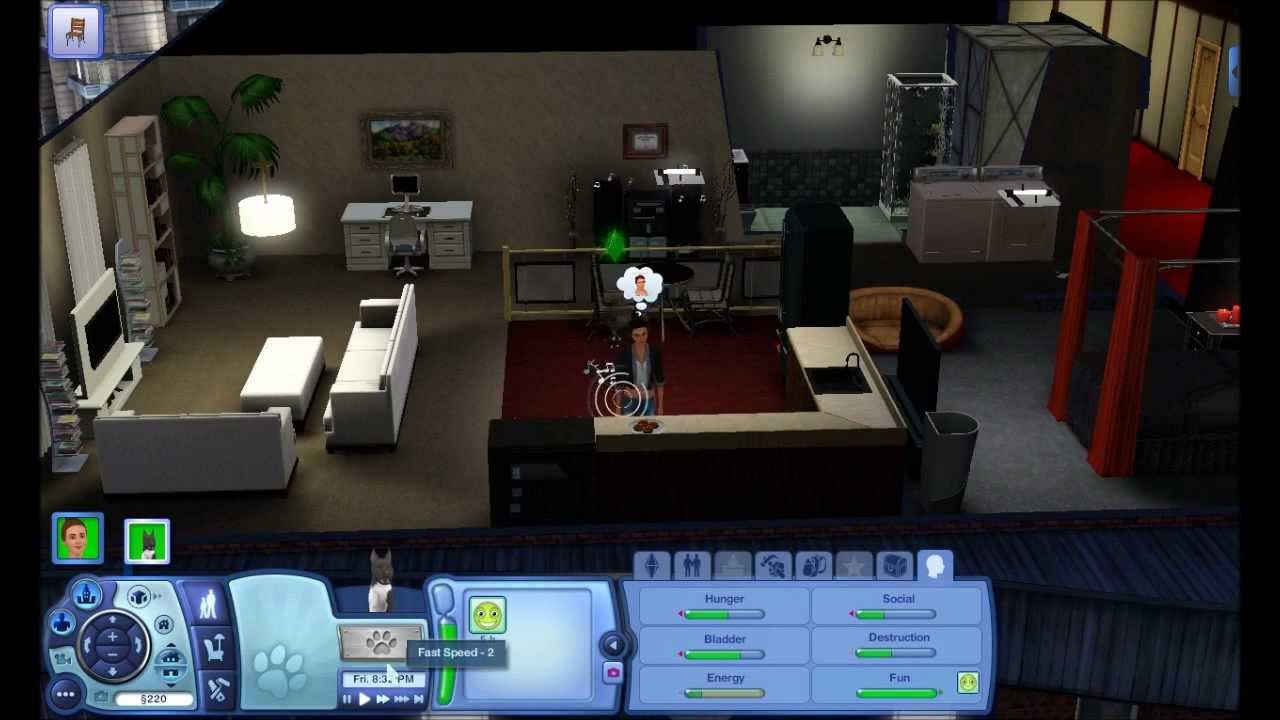 Quxxn Special: My Current Household - January 2012 - YouTube