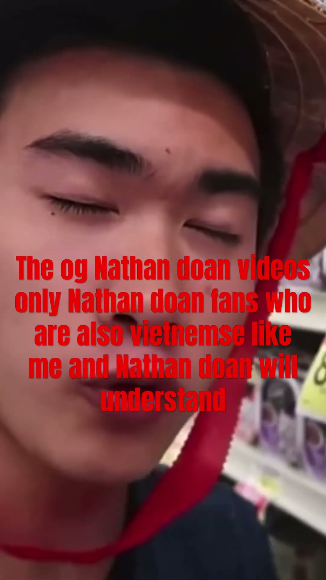 Only fellow Vietnamese Americans like me will understand Nathan doan og ...