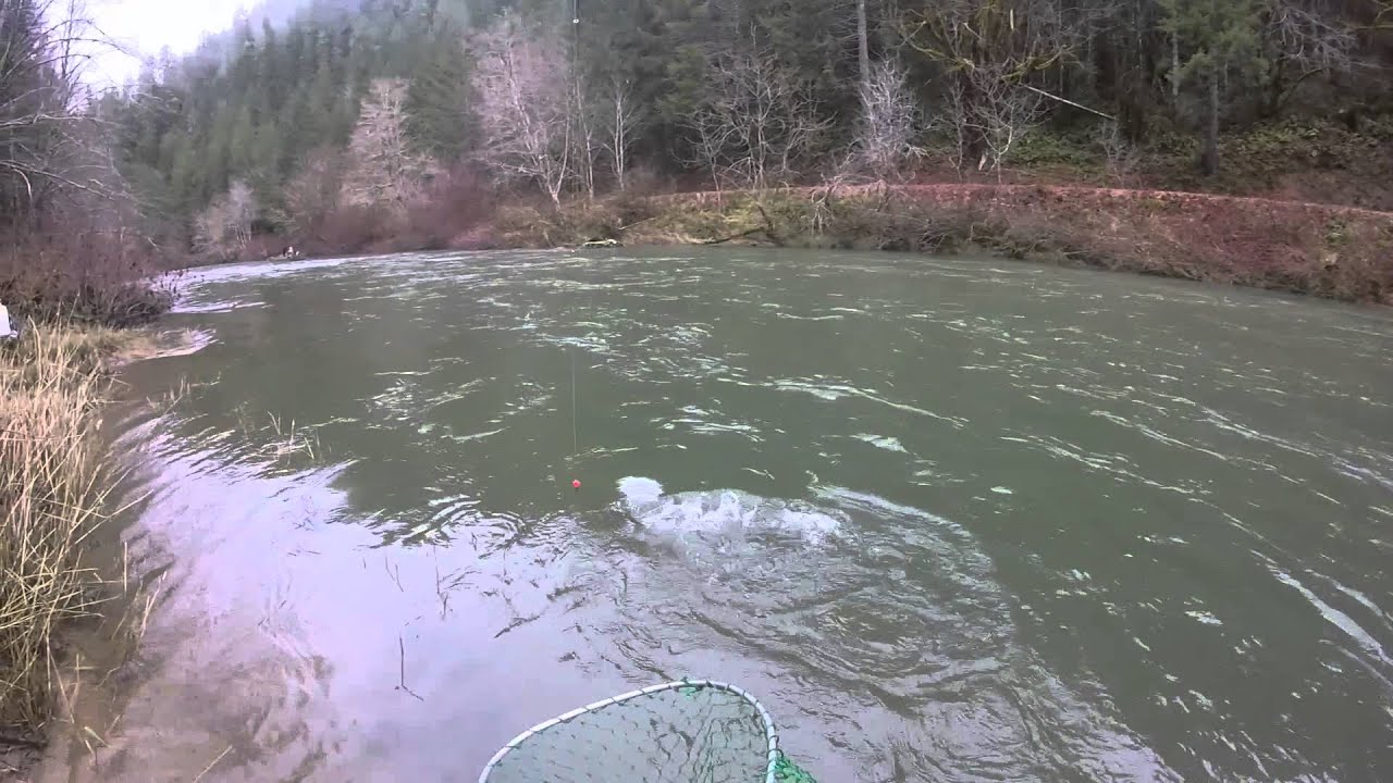 Small Beads, Big Fish. Oregon Coast Steelhead- 2016 - YouTube