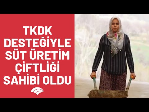 Fethiye Polat, TKDK desteğiyle Süt Üretim Çiftliği sahibi oldu.