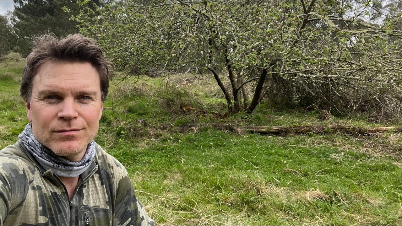 Vulcan state forest - scouting - YouTube