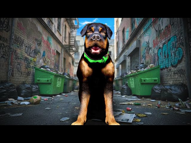 GTA 5: Chop in the streets and his outlandish adventures | Vortex Gaming