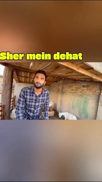 New mini zoo sher mein dihat #shorts - YouTube