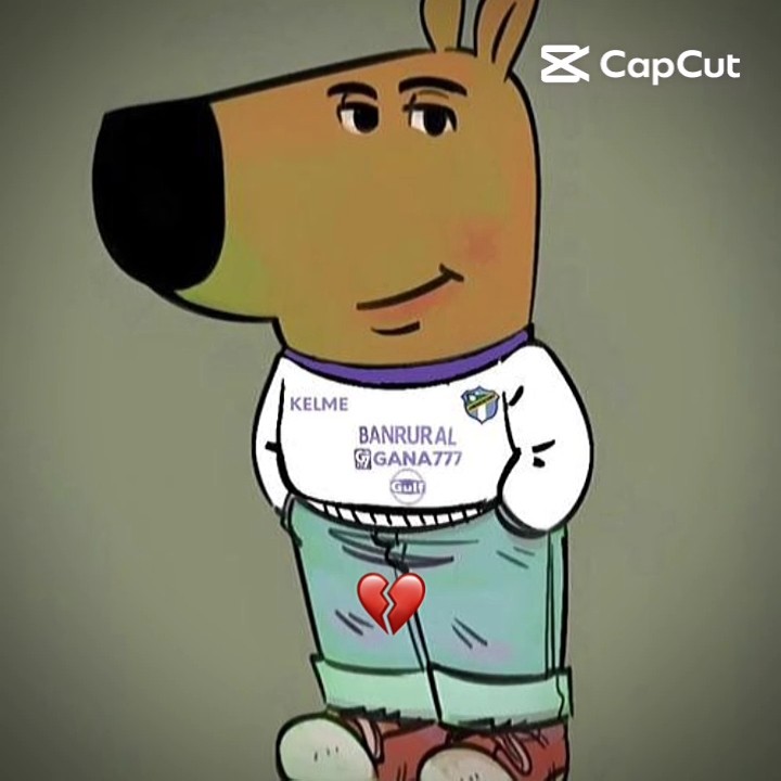 Perro chill🗣🔥 - YouTube