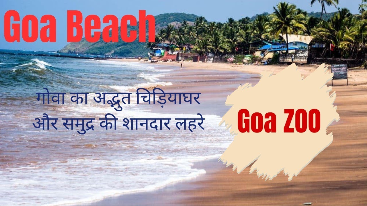 Salim Ali Bird Sanctuary, Goa ...Zoo in Goa - YouTube