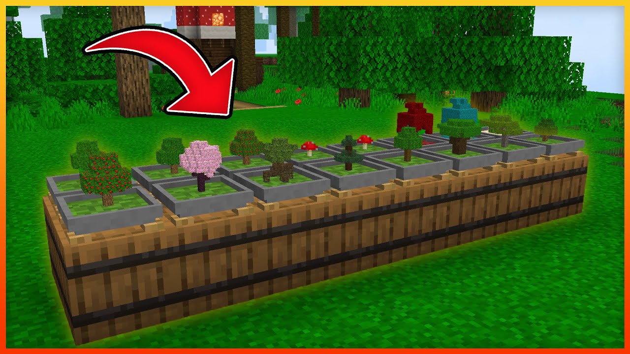 Bountiful Bonsais Add-On for Minecraft! | Minecraft Bedrock (1.19 - 1.20) - YouTube