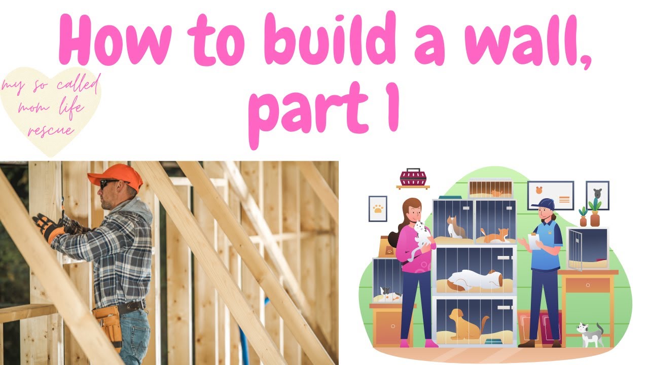 How to build a wall part 1 | DIY | Rescue center | Animal rescue - YouTube