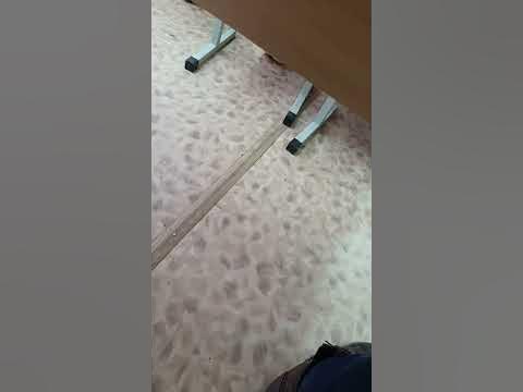 Калькулятор с интернетом - YouTube