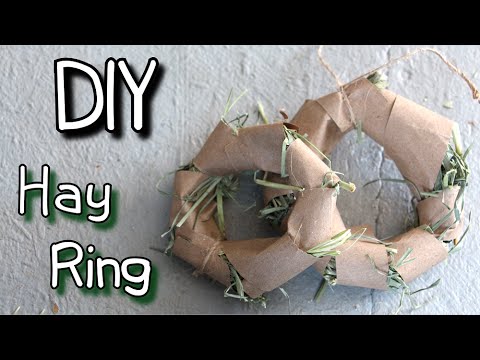 How to Make Homemade Rabbit Toy Hay Ring DIY Tutorial - YouTube