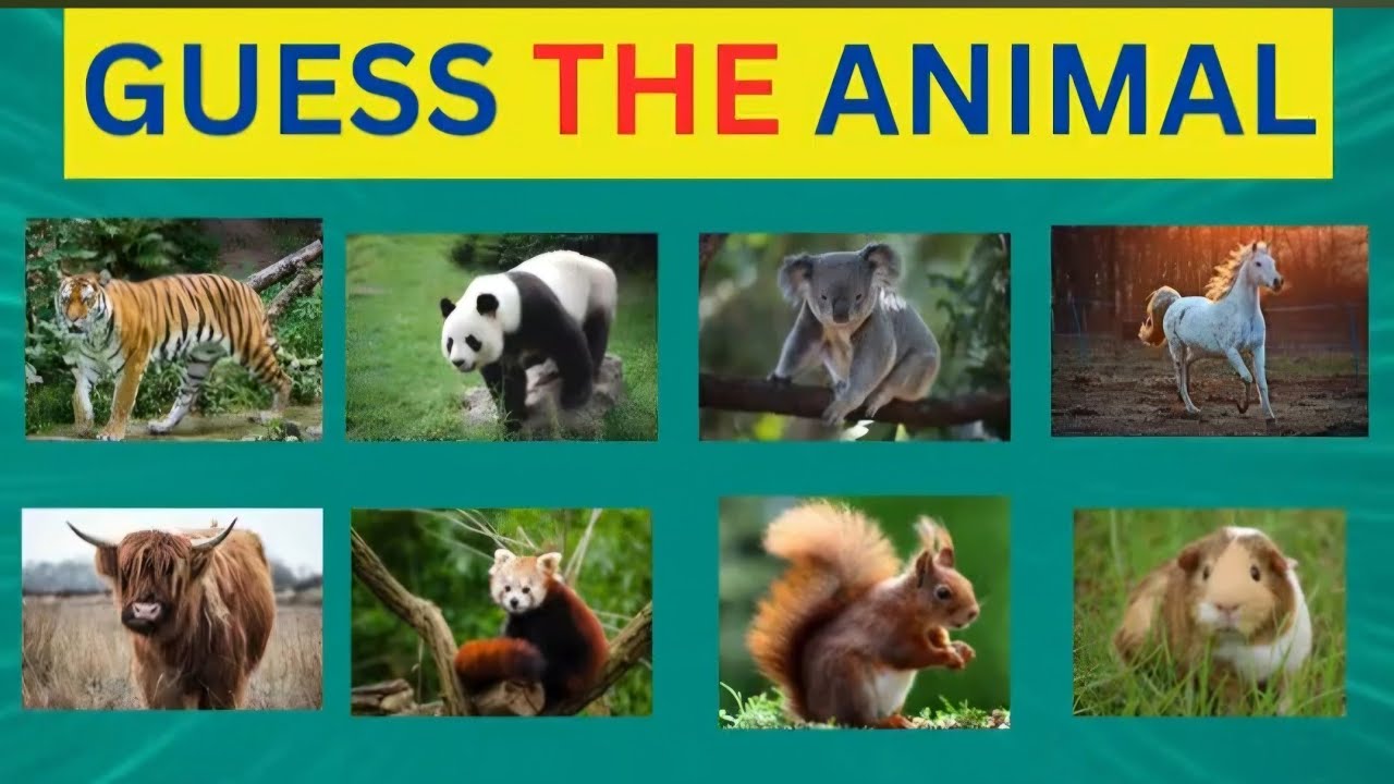 CAN YOU GUESS THE ANIMAL🦒🦓?//EASY TO HARD LEVEL// 60 ANIMALS IN 5 SEC ...