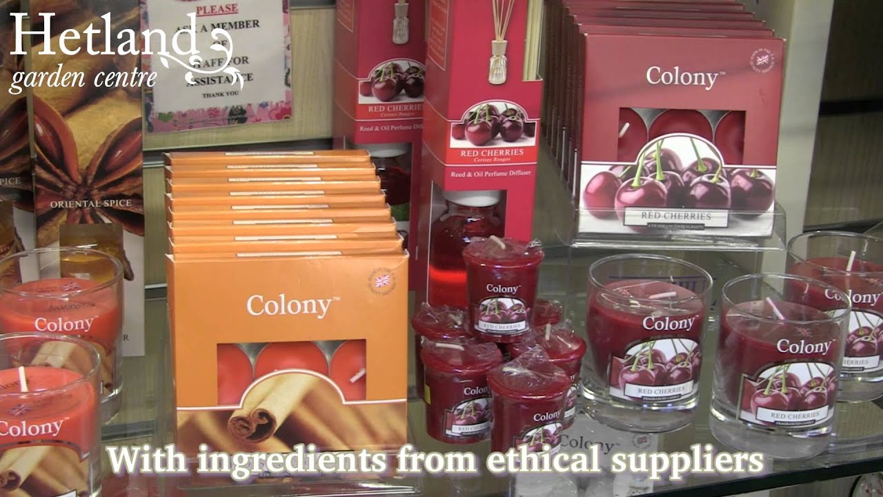 Colony Scented Candles Perfect Christmas Gift Ideas at Hetland Garden ...