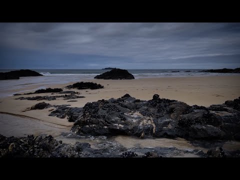 Sahilde okyanus dalgaları | Deniz suyu sesleri | Hızlı uykuya dalın: bebekler için beyaz gürültü