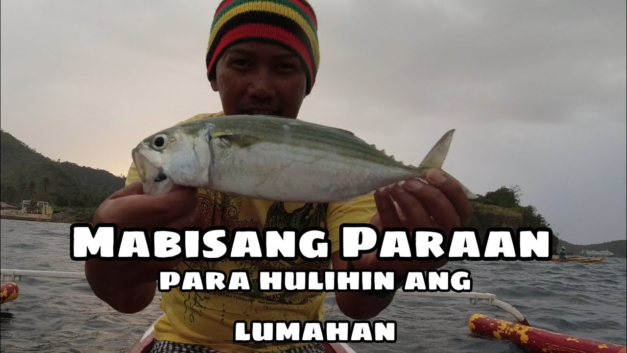 Mabisang paraan kung paano hulihin ang lumahan at kalapato Amazing ...