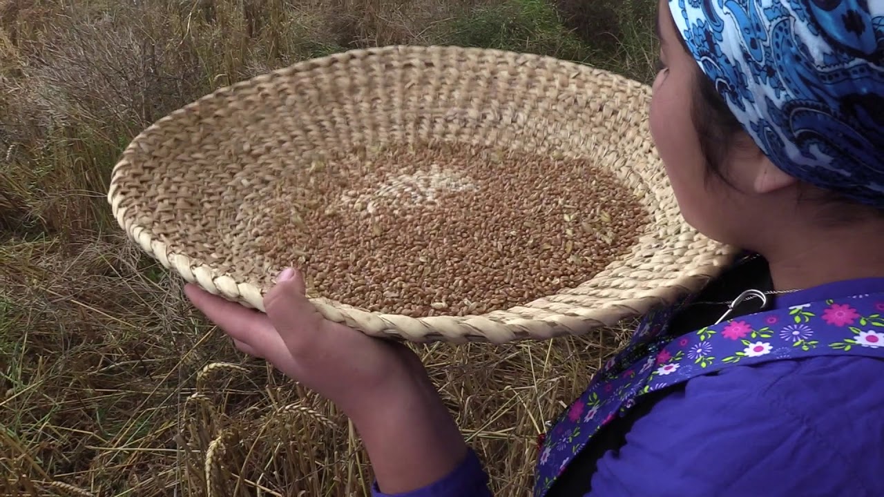 Machatun Purrun - YouTube