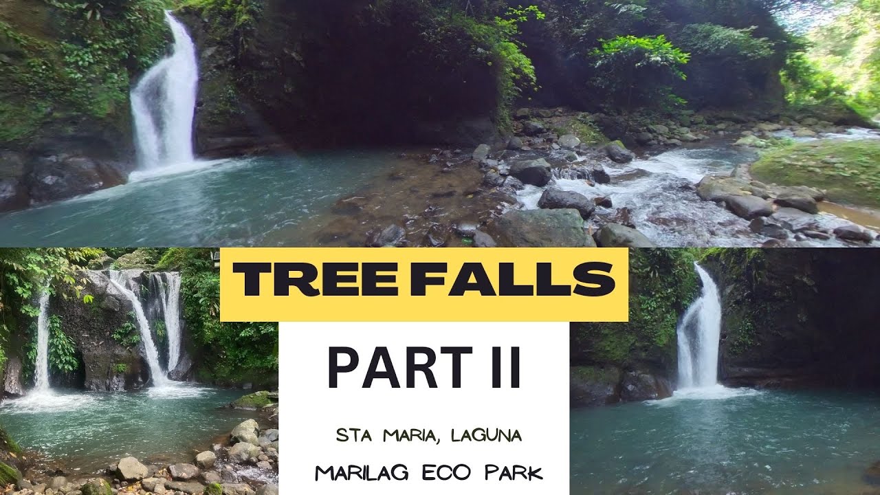 LAGUNA TREE FALLS (MARILAG) ECO PARK PART II - YouTube